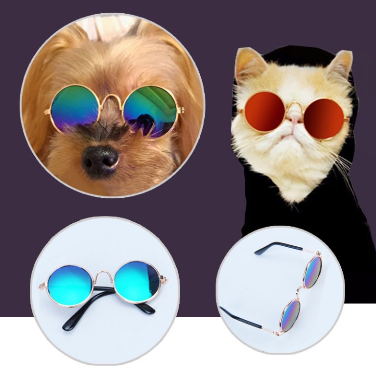 Cool Pet Glasses Cute Dog Sunglasses & Cat Sunglasses Windproof UV