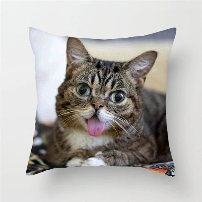 Gift for cat lovers cushion cover soft material bright funny cats print